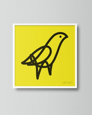 Rainbow Tulips – Patrick Murphy Studio