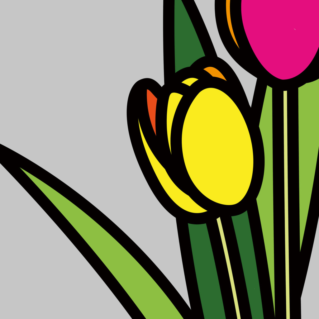 Rainbow Tulips – Patrick Murphy Studio