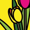 Rainbow Tulips – Patrick Murphy Studio