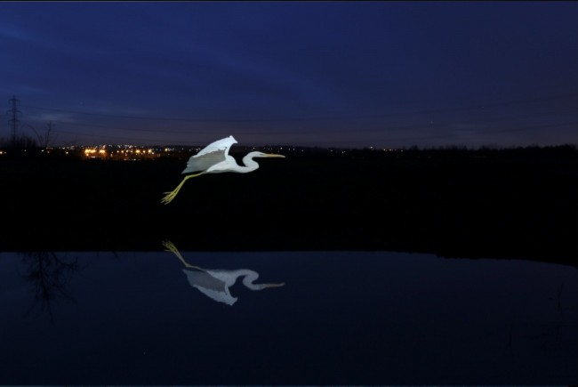 Pixel River – Patrick Murphy Studio