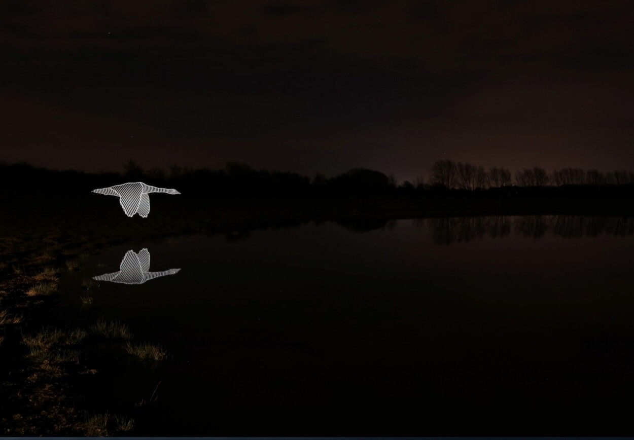 Pixel River – Patrick Murphy Studio