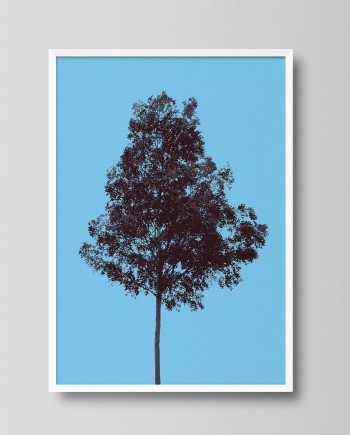 Rainbow (Monochrome) – Patrick Murphy Studio