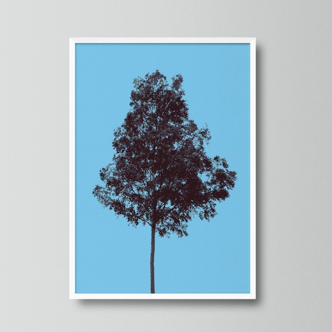 Bird – Patrick Murphy Studio