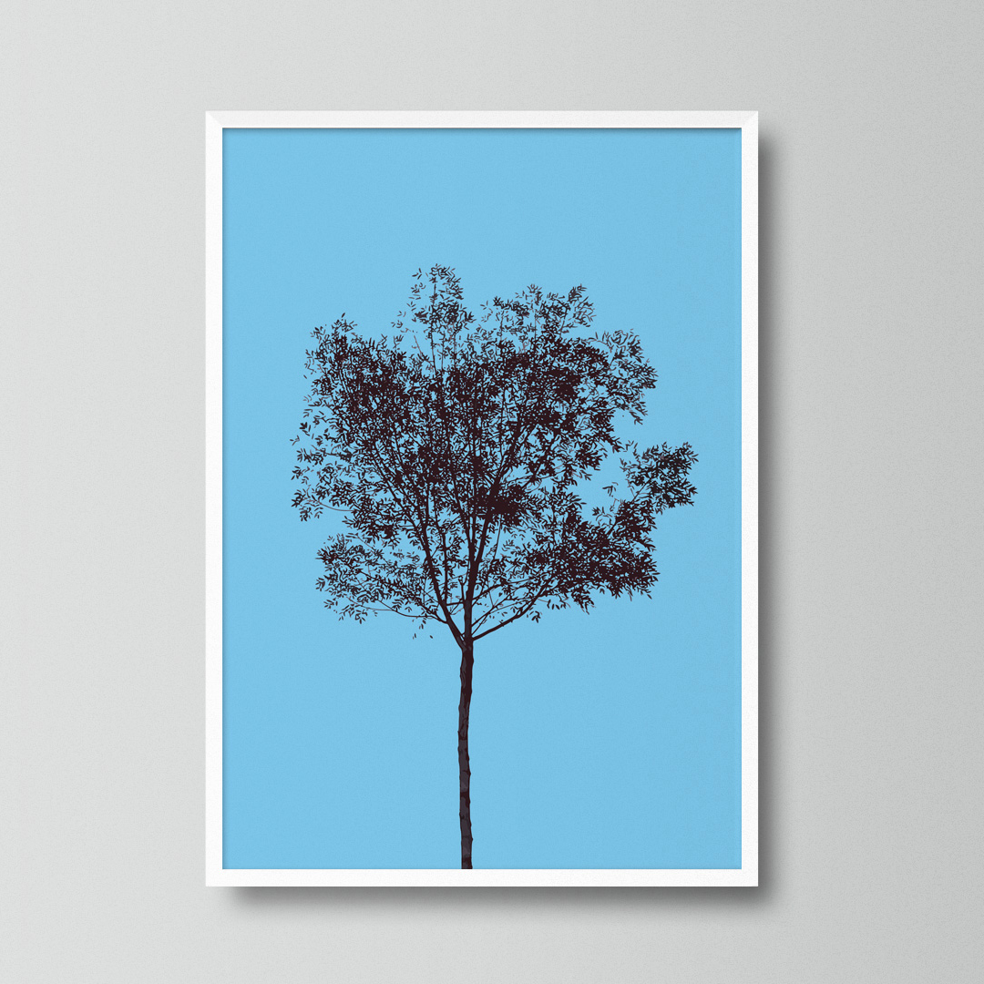 Three Trees - Patrick Murphy Studio